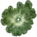 Cuure - Personalized Vitamin & Supplement Packs